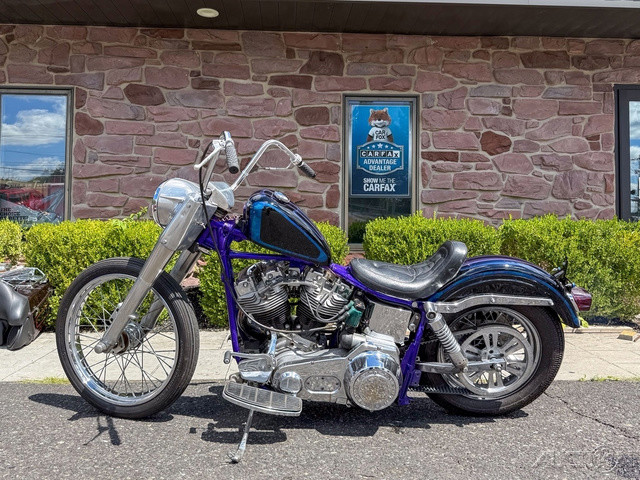 1982 Harley-Davidson® FLHP Electra Glide® Police for Sale in ...