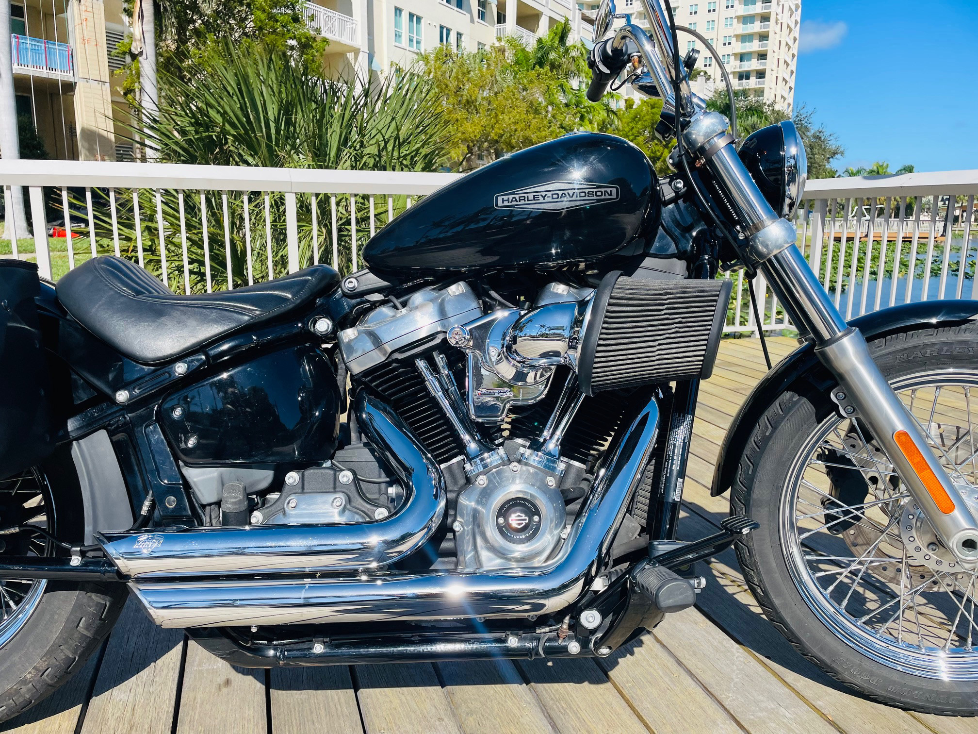 2020 Harley-Davidson® FXST Softail® Standard for Sale in Boynton Beach ...