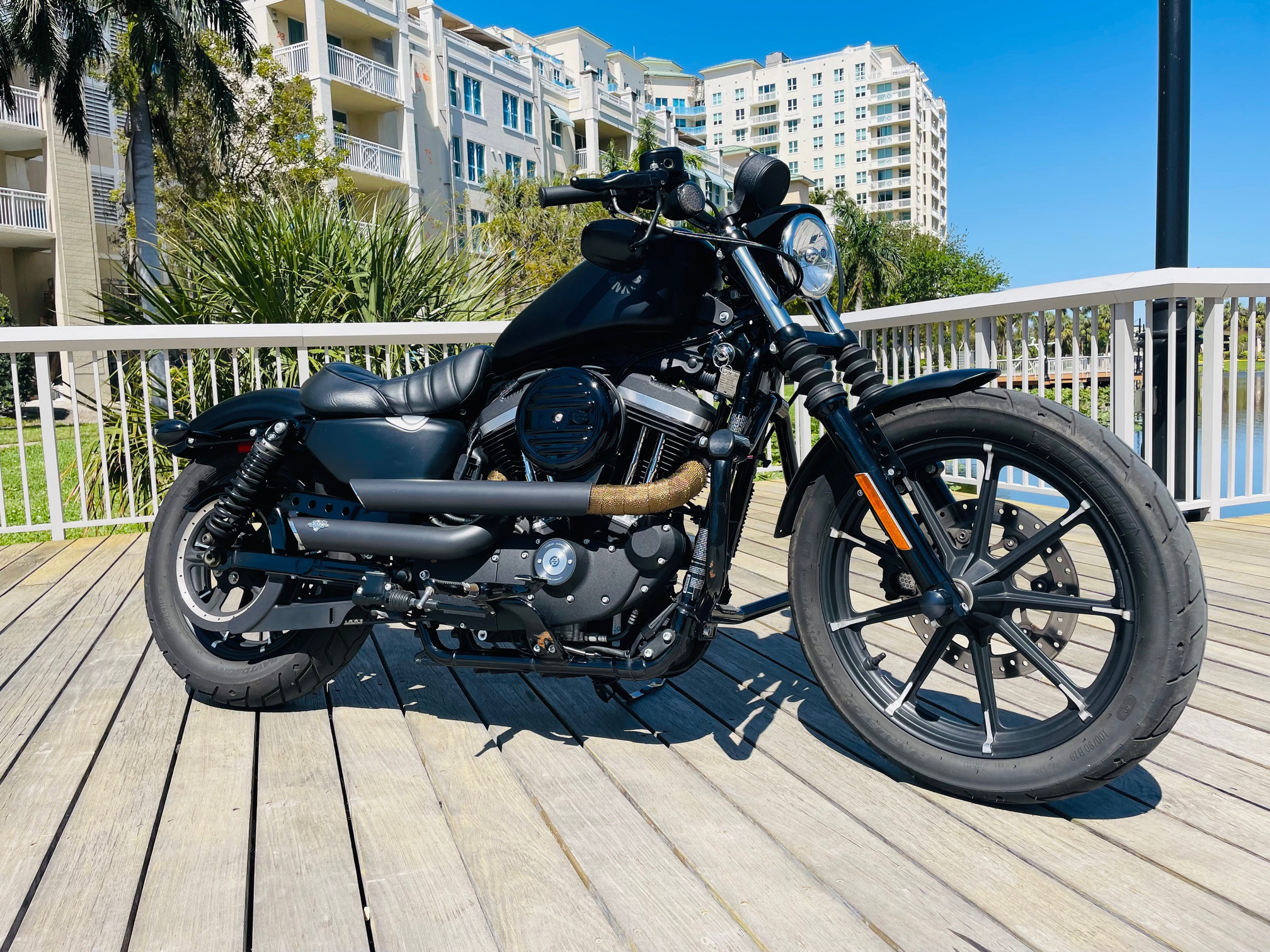 2022 Harley-Davidson® XL883N Iron 883® for Sale in Boynton Beach, FL ...