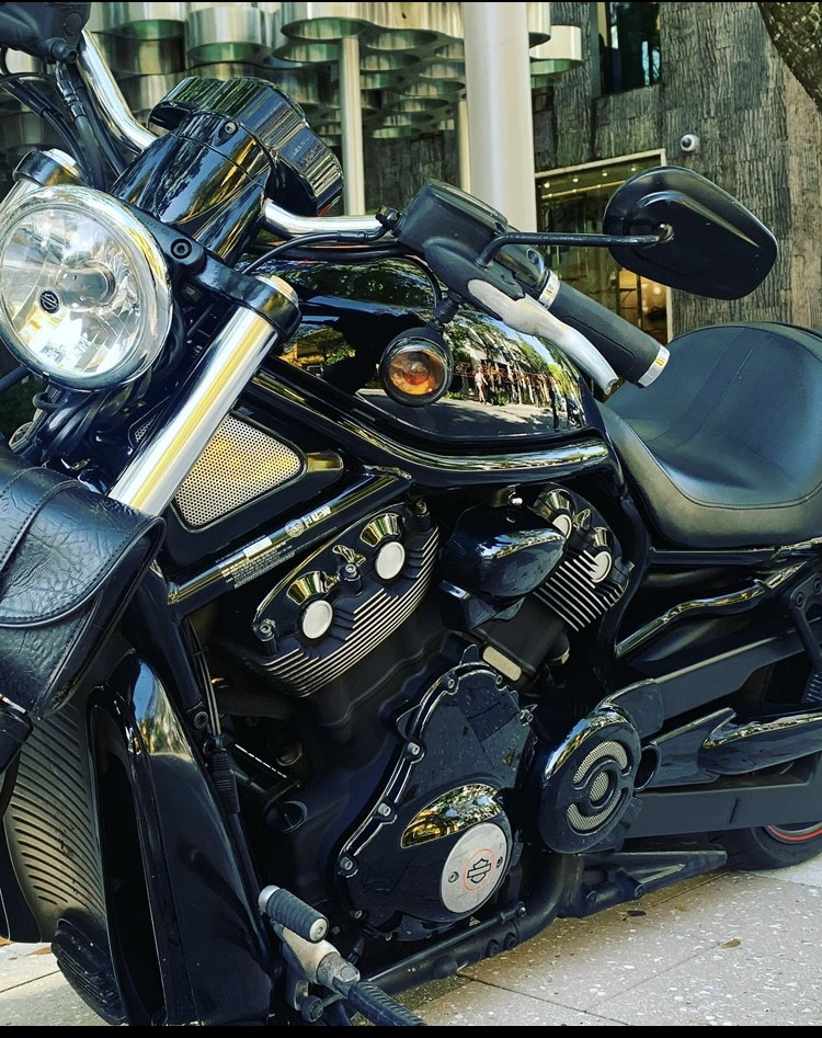 2009 Harley-Davidson® VRSCDX V-Rod® Night Rod® Special for Sale in ...