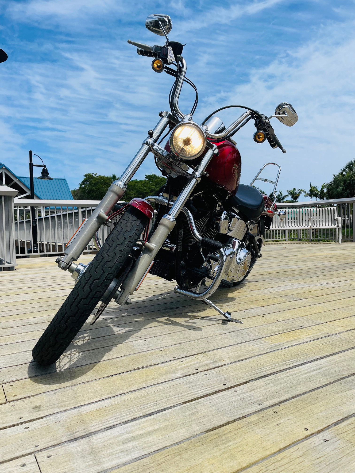 2008 Harley-Davidson® FXSTC Softail® Custom for Sale in Boynton Beach ...