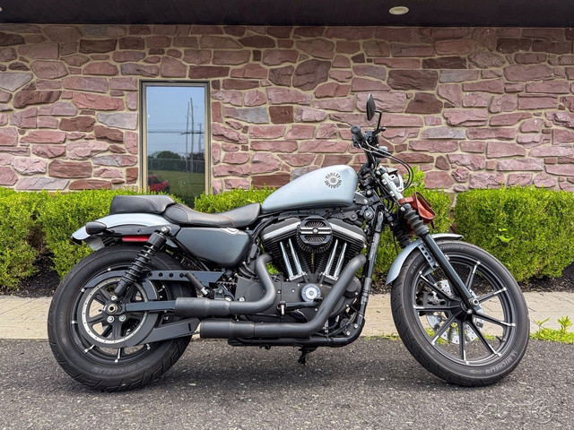 2020 Harley-Davidson® XL883N Iron 883® for Sale in Zieglerville, PA ...