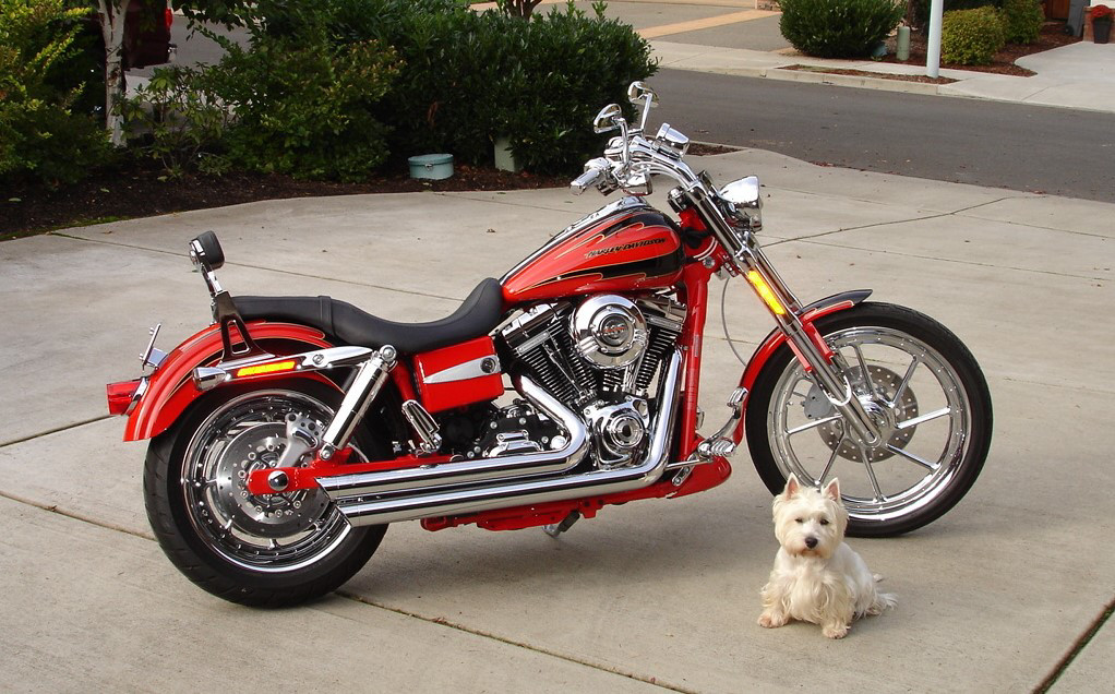 2007 Harley-Davidson® FXDSE Screamin' Eagle® Dyna® for Sale in ...