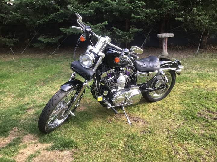 2003 Harley-Davidson® XL1200C-ANV Sportster® 1200 Custom Anniversary ...