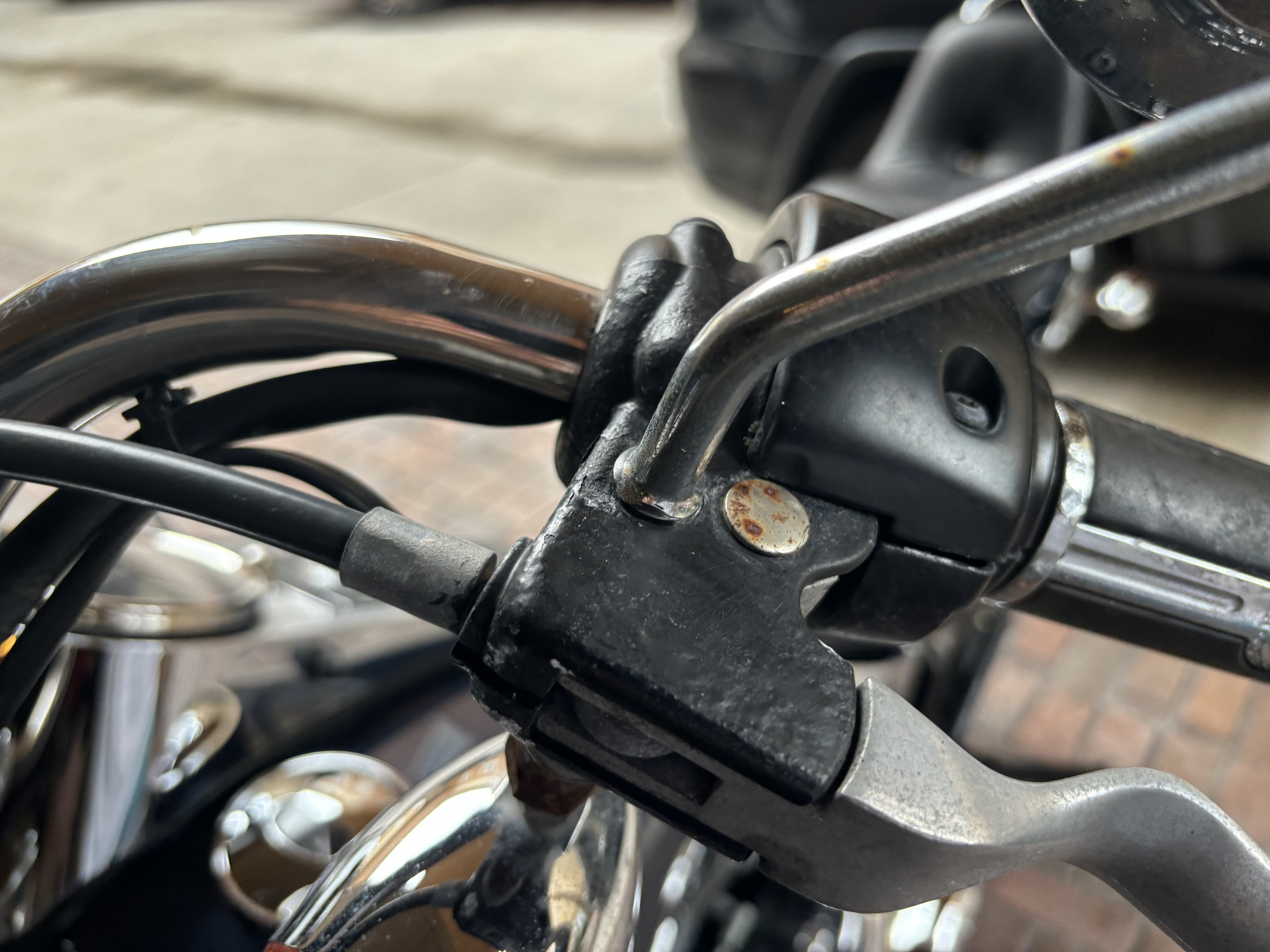 2008 Harley-Davidson® FXSTC Softail® Custom for Sale in Aventura, FL ...