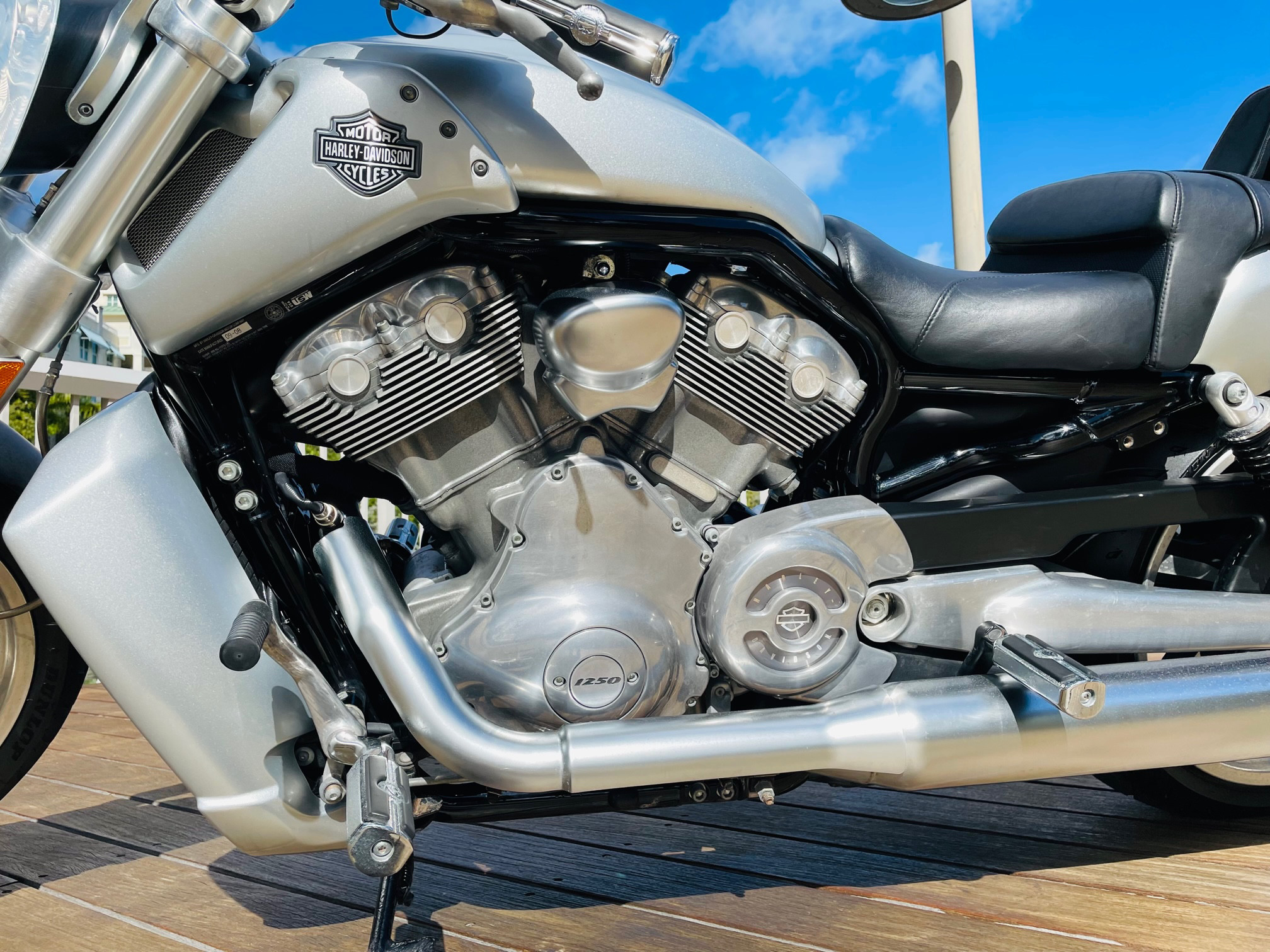 2009 Harley-Davidson® VRSCF V-Rod® Muscle® for Sale in Boynton Beach ...