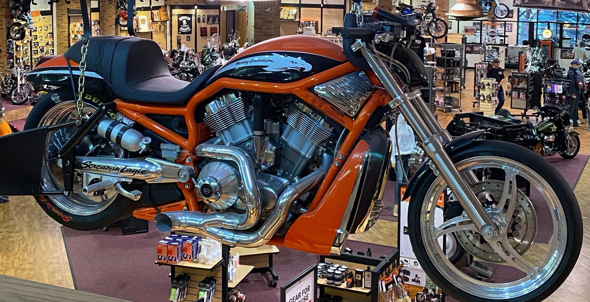 2006 Harley-Davidson® VRXSE Screamin' Eagle V-Rod® Destroyer for Sale ...