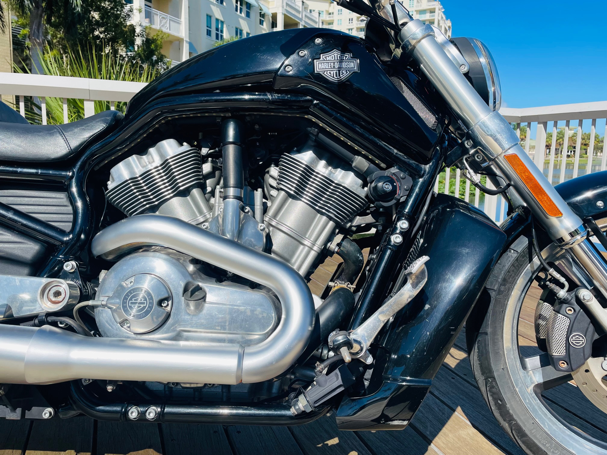 2011 Harley-Davidson® VRSCF V-Rod Muscle® for Sale in Boynton Beach, FL ...