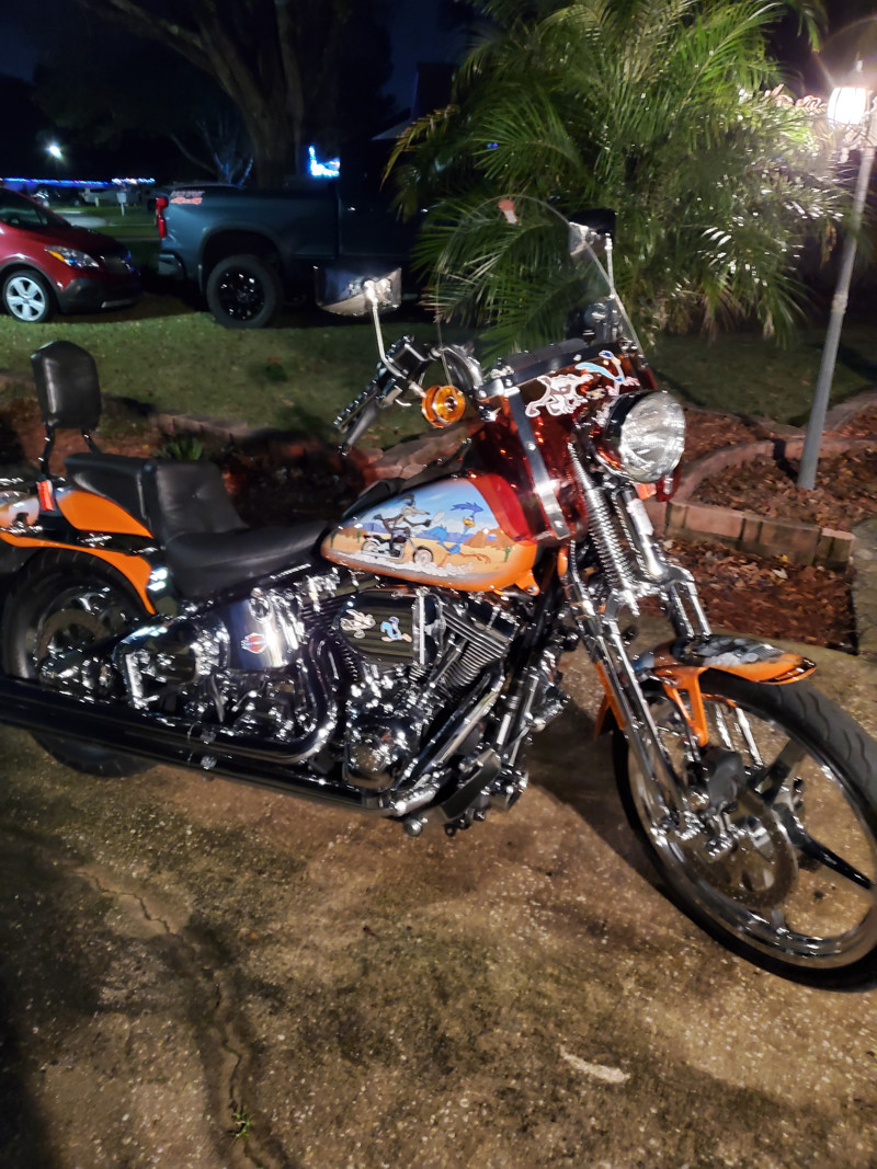 2001 Harley-Davidson® FXSTS/I Springer® Softail® for Sale in ...