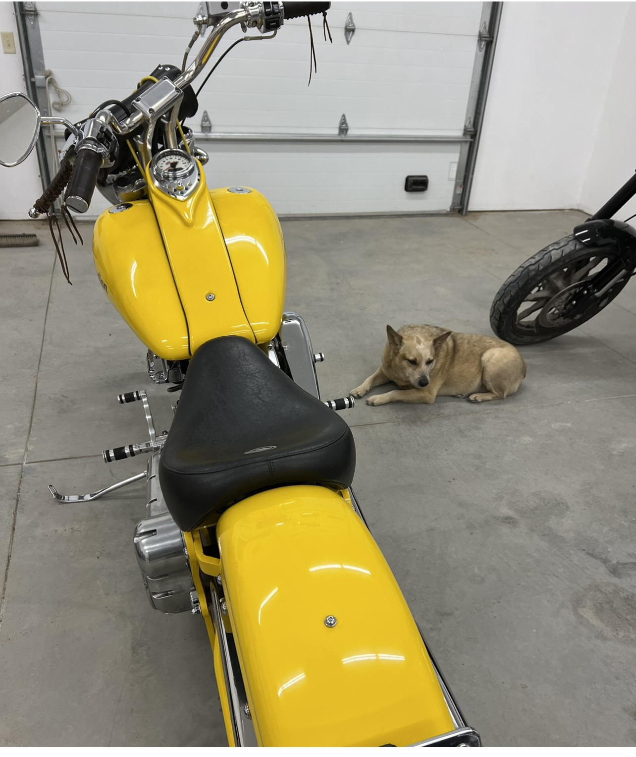 2003 Indian® Motorcycle Scout Deluxe for Sale in Bozeman, MT (Item 1235869)