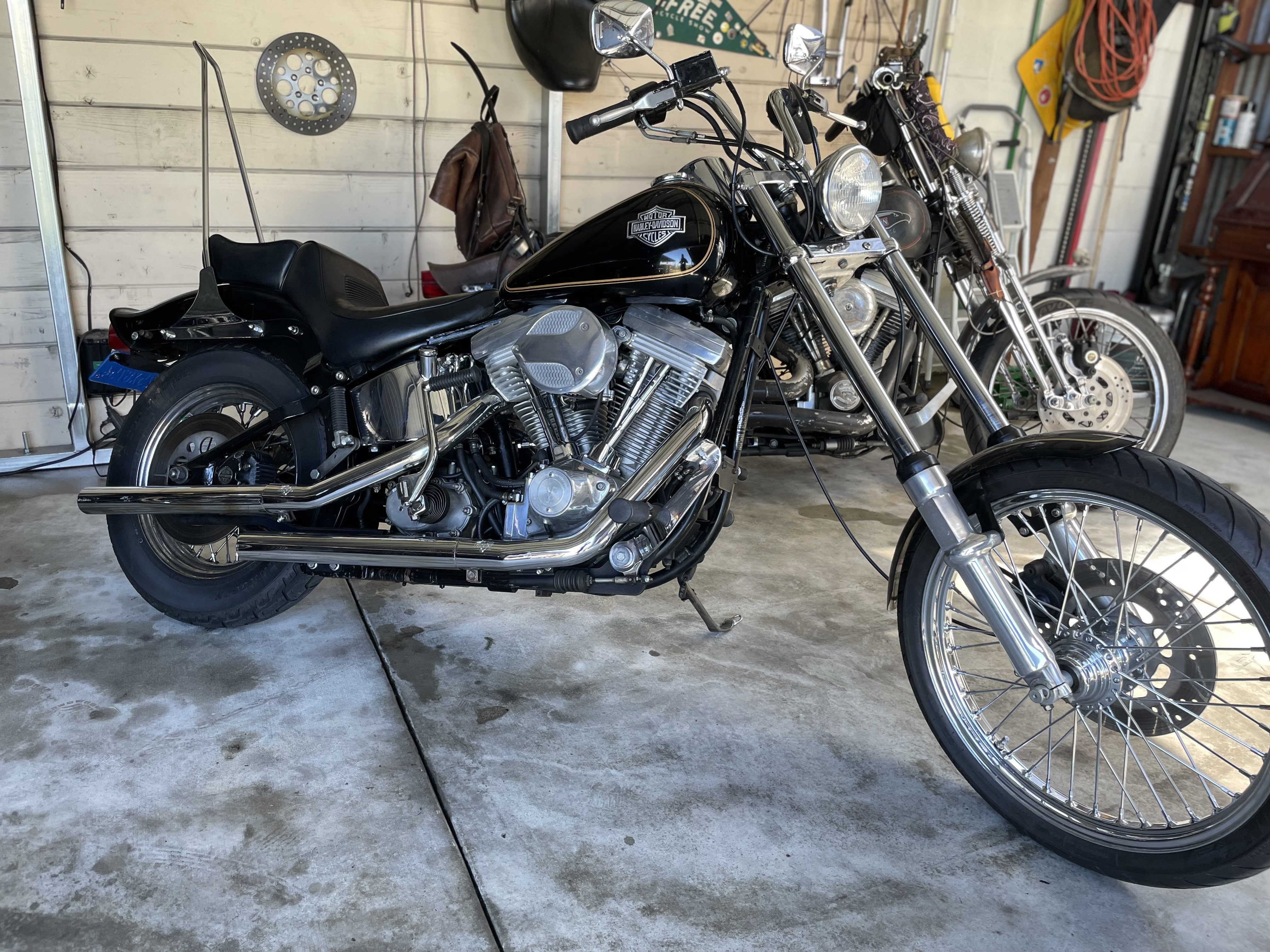 1984 Harley-Davidson® FXST Softail® for Sale in los angeles, CA (Item ...
