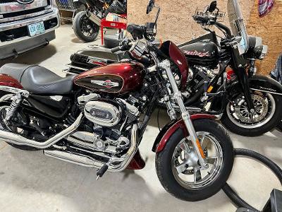 2015 Harley-Davidson® XL1200C Sportster® 1200 Custom for Sale in ...