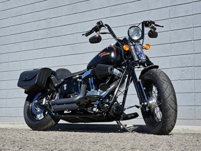 1999 - 2009 Harley-Davidson® Cross Bones™ for Sale on ChopperExchange