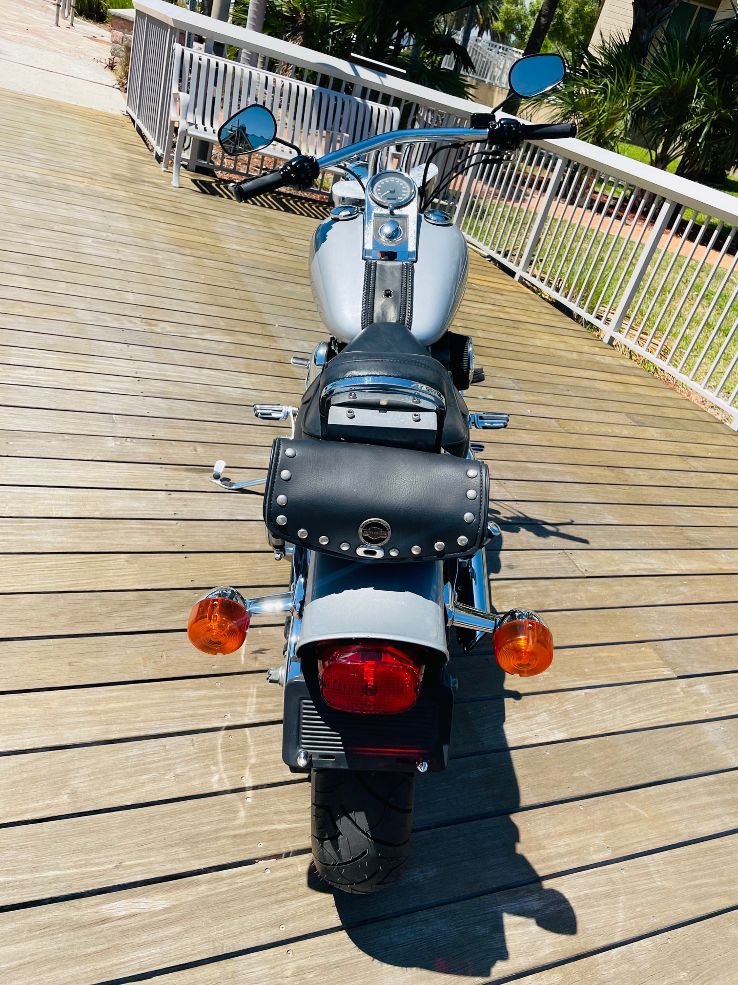 2001 Harley-Davidson® FXSTC Softail® Custom for Sale in Boynton Beach ...