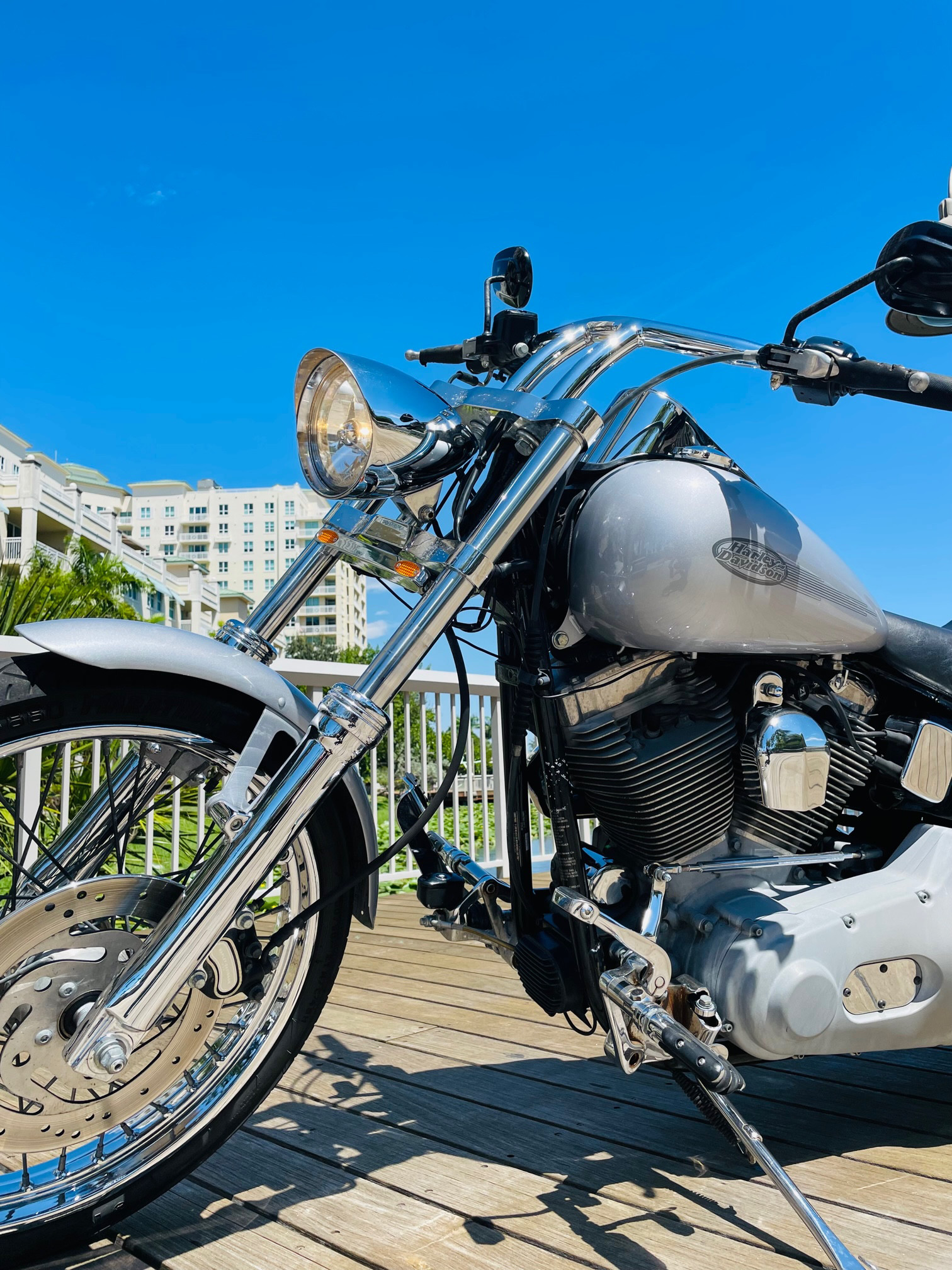 2001 Harley-Davidson® FXSTC Softail® Custom for Sale in Boynton Beach ...