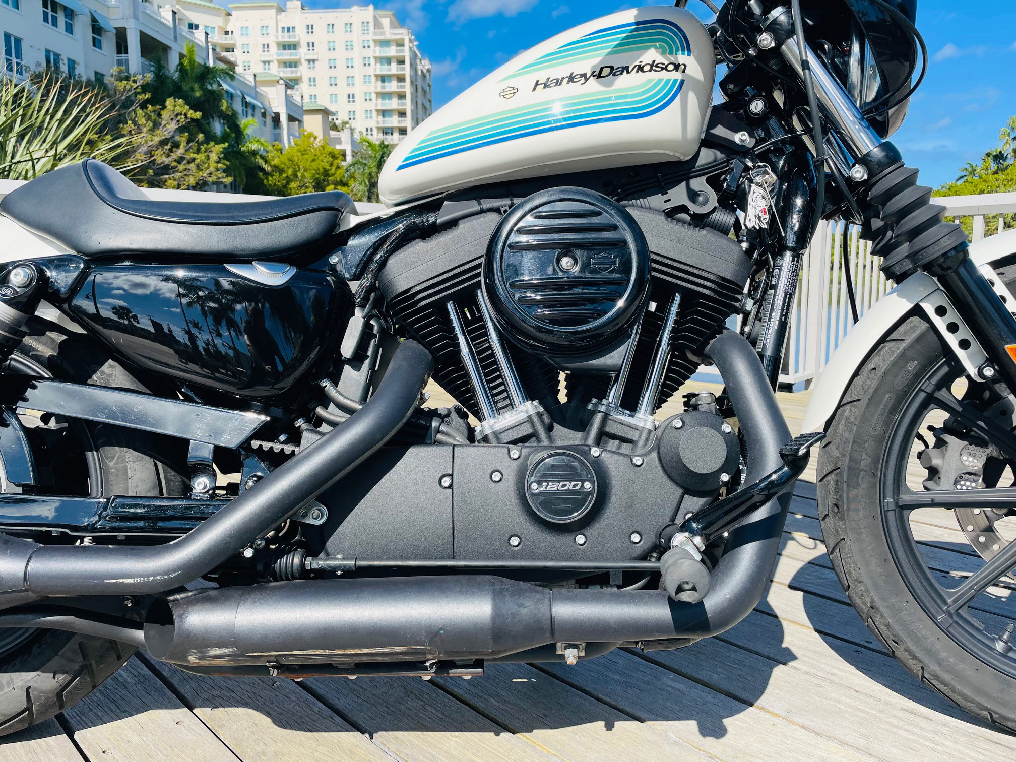 Interesting 2019 Harley Davidson Iron 1200 Photos