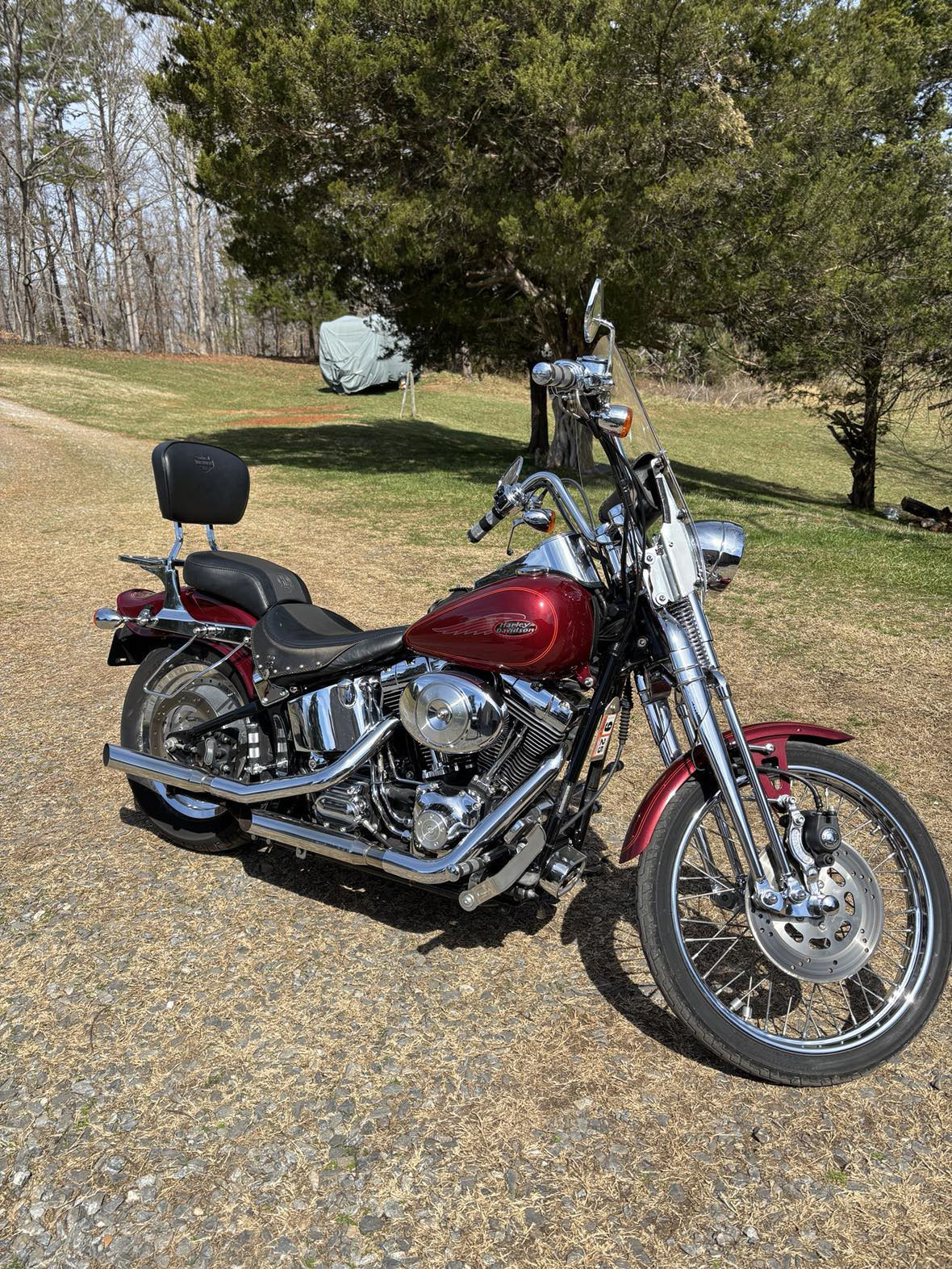 2001 Harley-Davidson® FXSTS/I Springer® Softail® for Sale in Evington ...