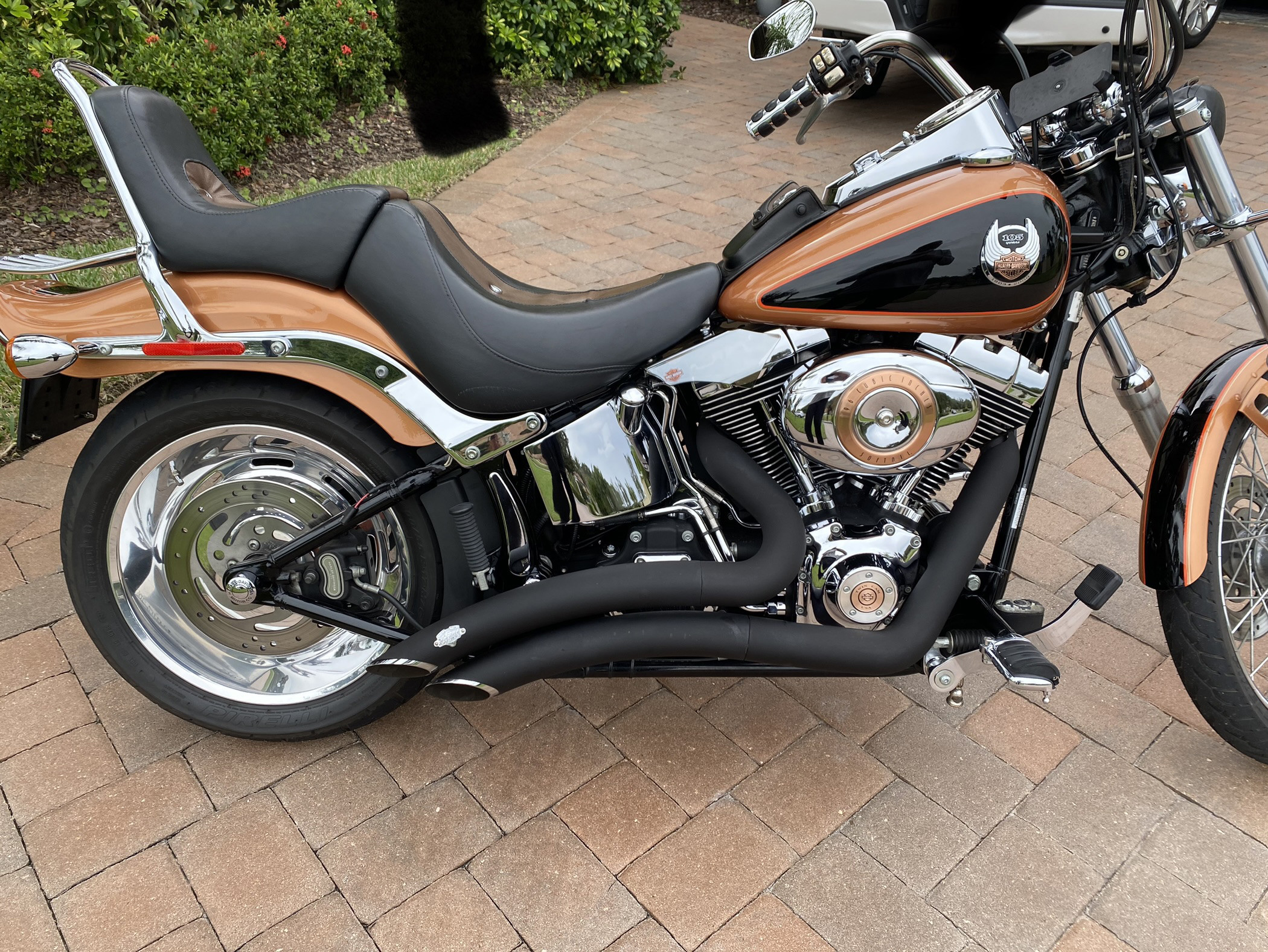 2008 Harley-Davidson® FXSTC-ANV Softail® Custom Anniversary for Sale in ...