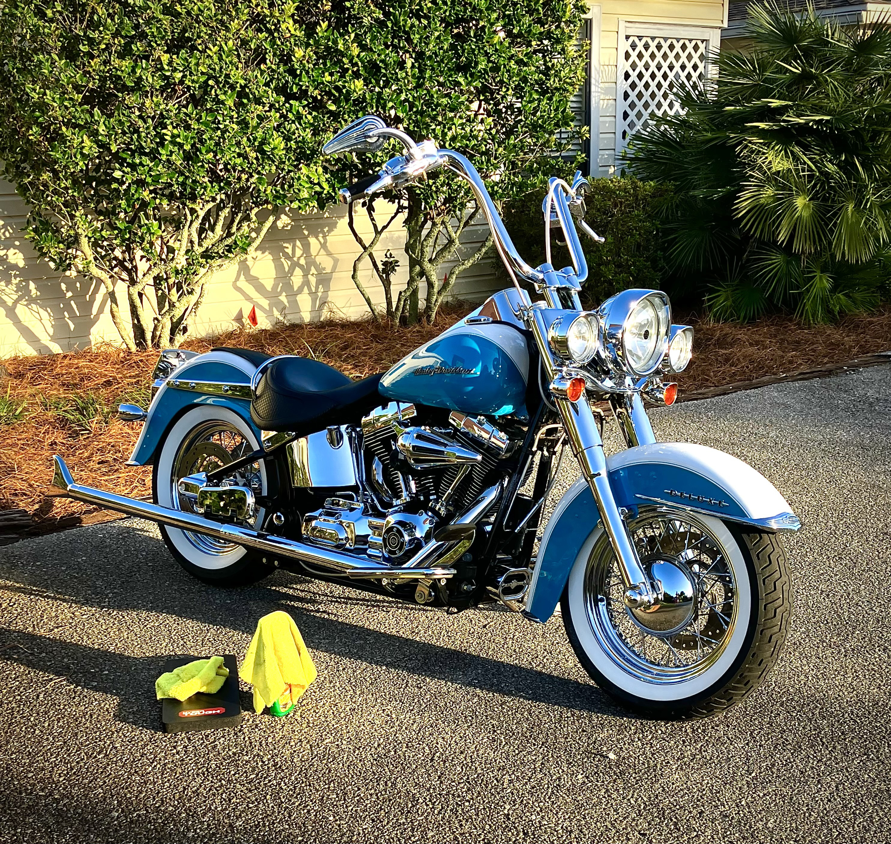 2017 Harley-Davidson® FLSTN Softail® Deluxe for Sale in Destin , FL ...