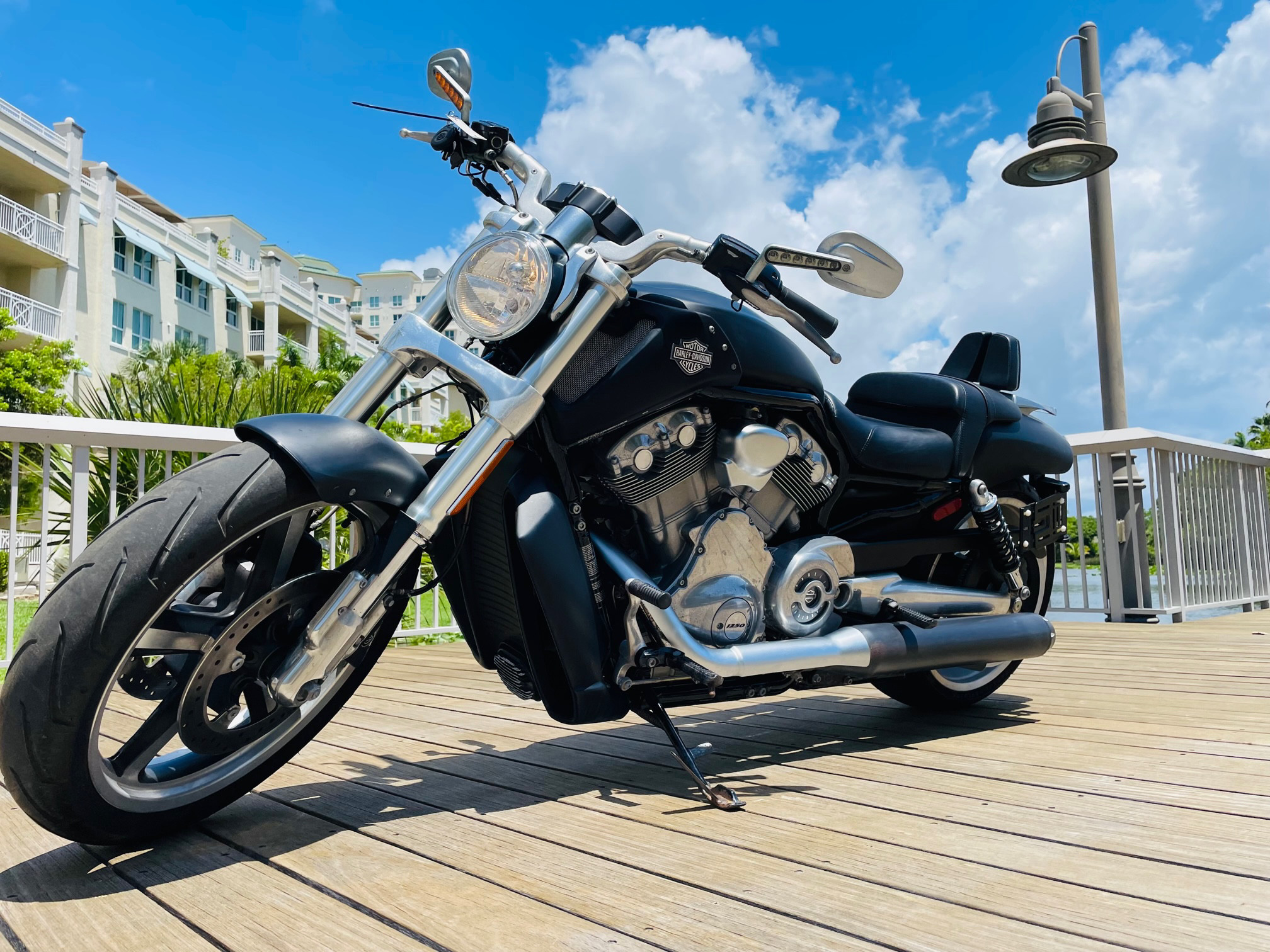 2017 Harley-Davidson® VRSCF V-Rod® Muscle for Sale in Boynton Beach, FL ...