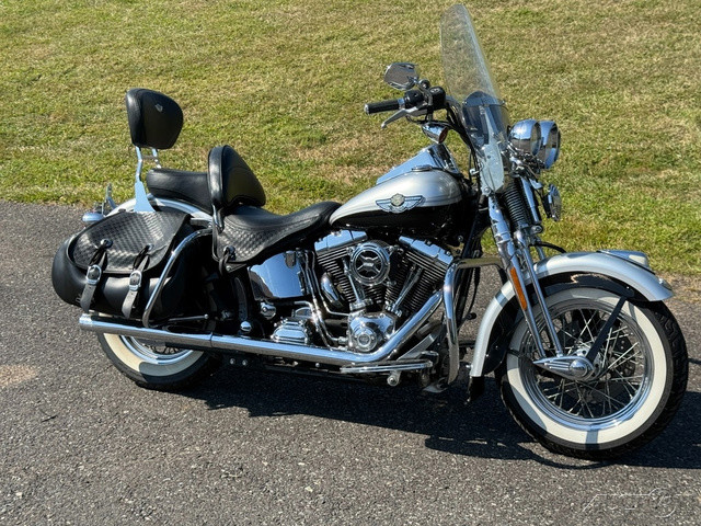 2003 Harley-Davidson® FLSTS/I-ANV Heritage Springer® Anniversary for ...