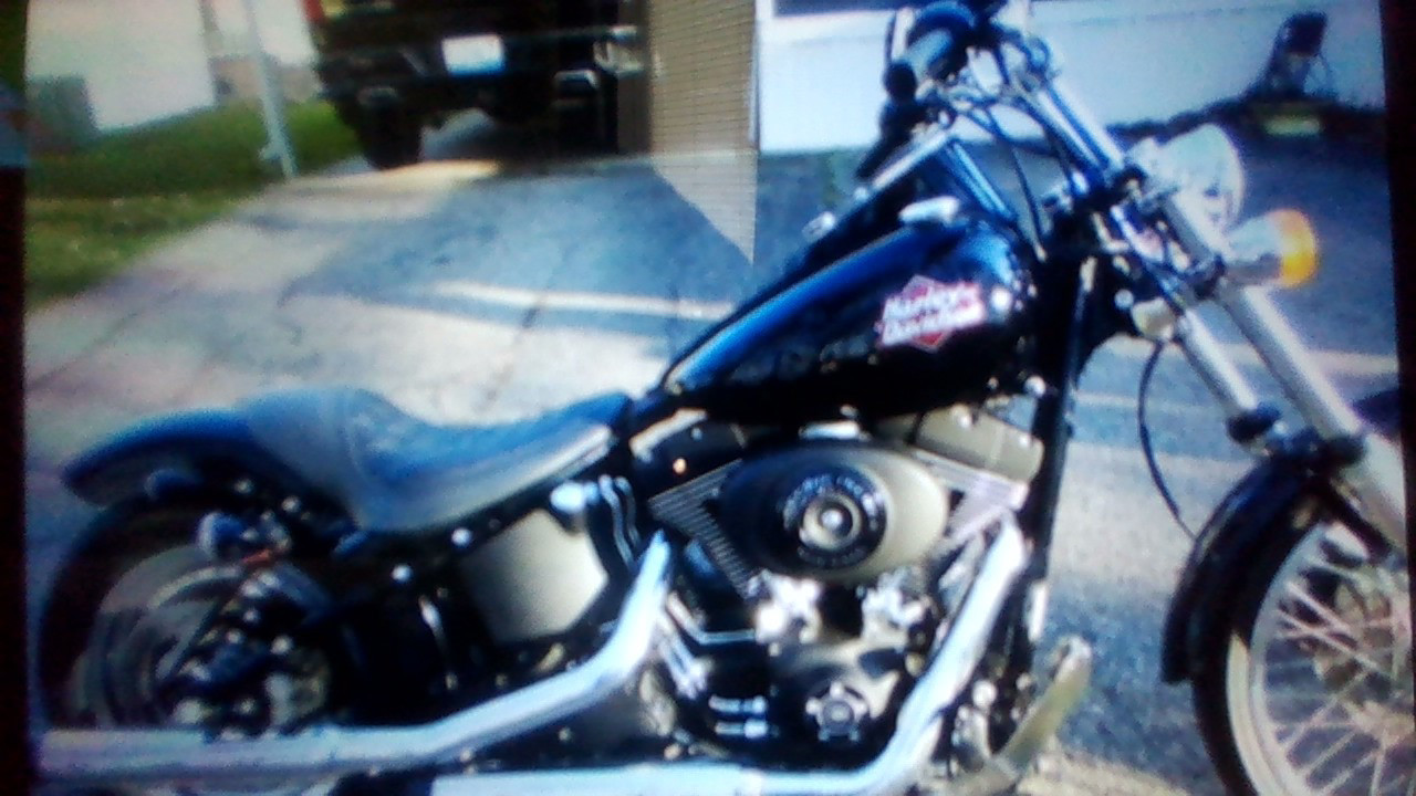 2000 Harley-Davidson® FXSTC Softail® Custom for Sale in kalamazoo, MI ...