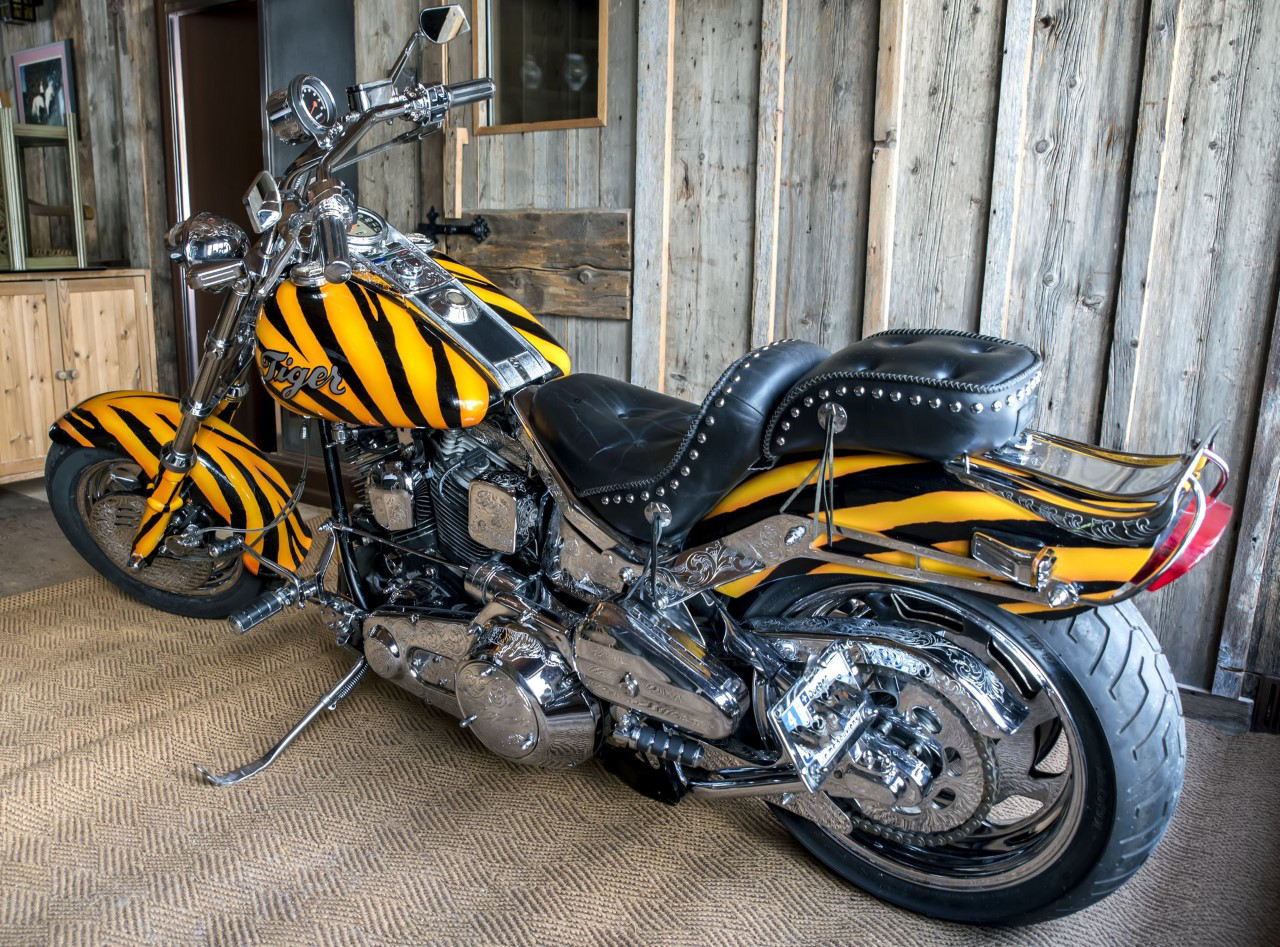 1987 Harley-Davidson® FXSTC Softail® Custom for Sale in Hampton Falls ...