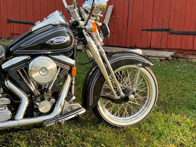 1998 Harley-Davidson® FXSTS Springer® Softail® for Sale in Zieglerville ...