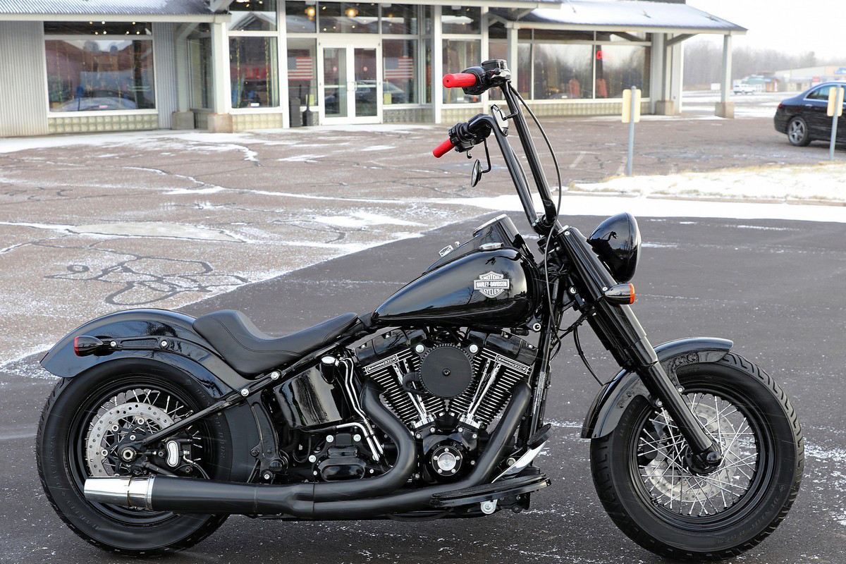 2017 Harley-Davidson® FLS Softail® Slim® S for Sale in Duluth, MN (Item ...