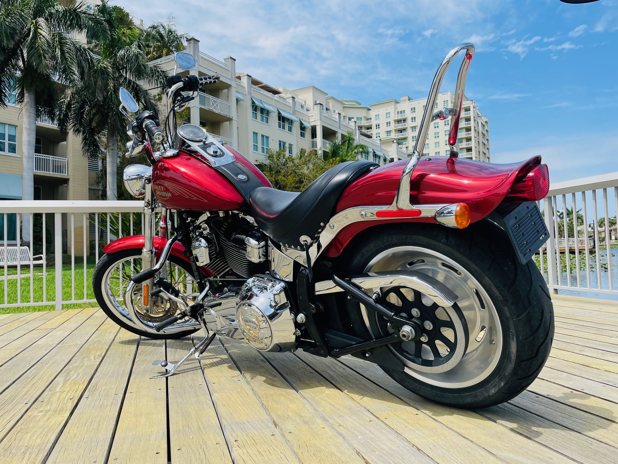 2008 Harley-Davidson® FXSTC Softail® Custom for Sale in Boynton Beach ...