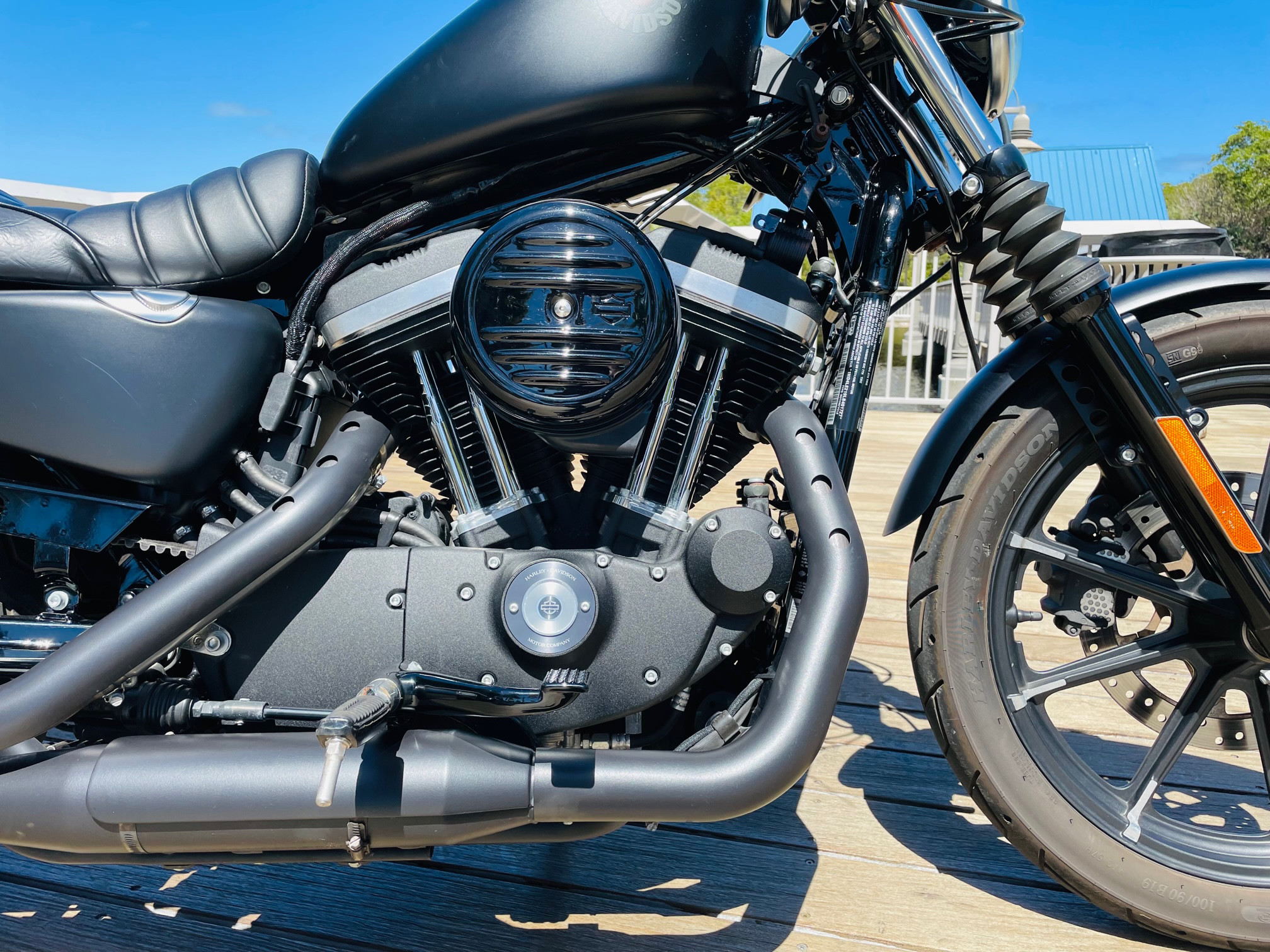 2020 Harley-Davidson® XL883N Iron 883® for Sale in Boynton Beach, FL ...