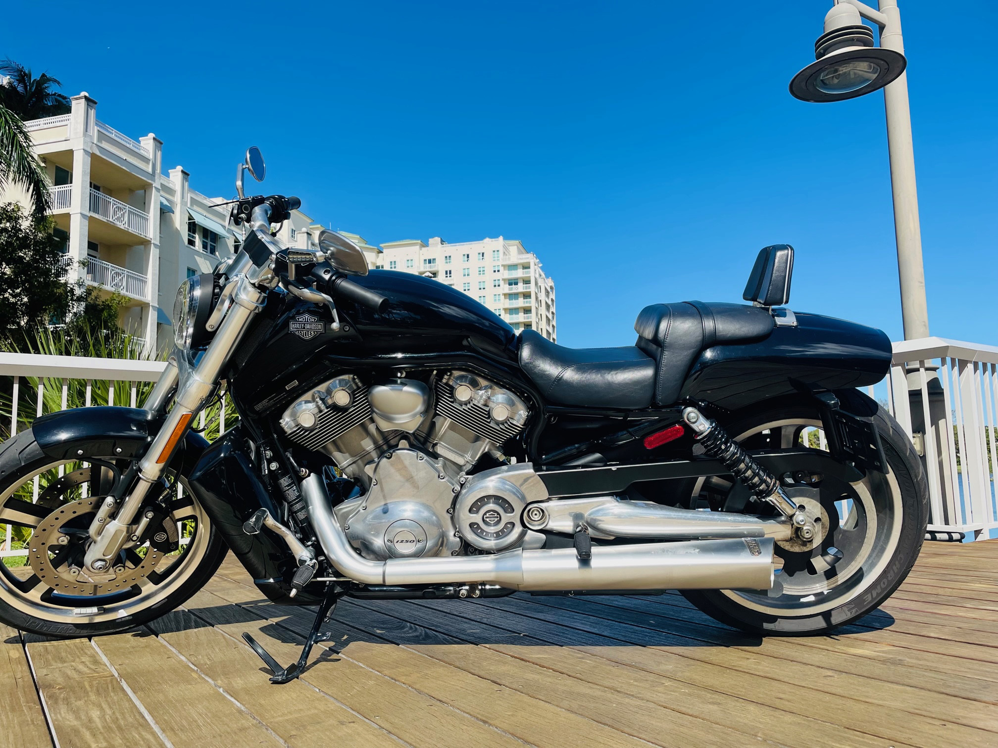 2011 Harley-Davidson® VRSCF V-Rod Muscle® for Sale in Boynton Beach, FL ...