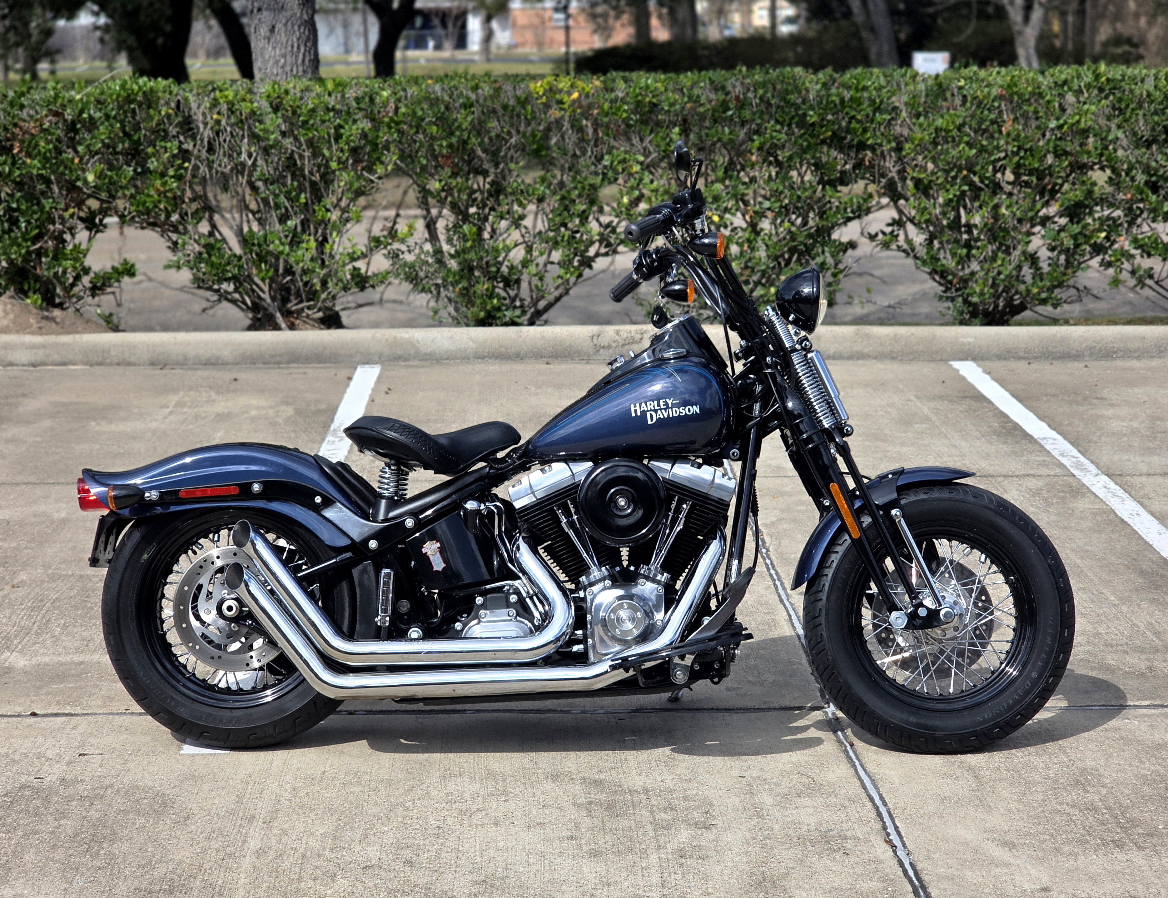 Harley Crossbones For Sale