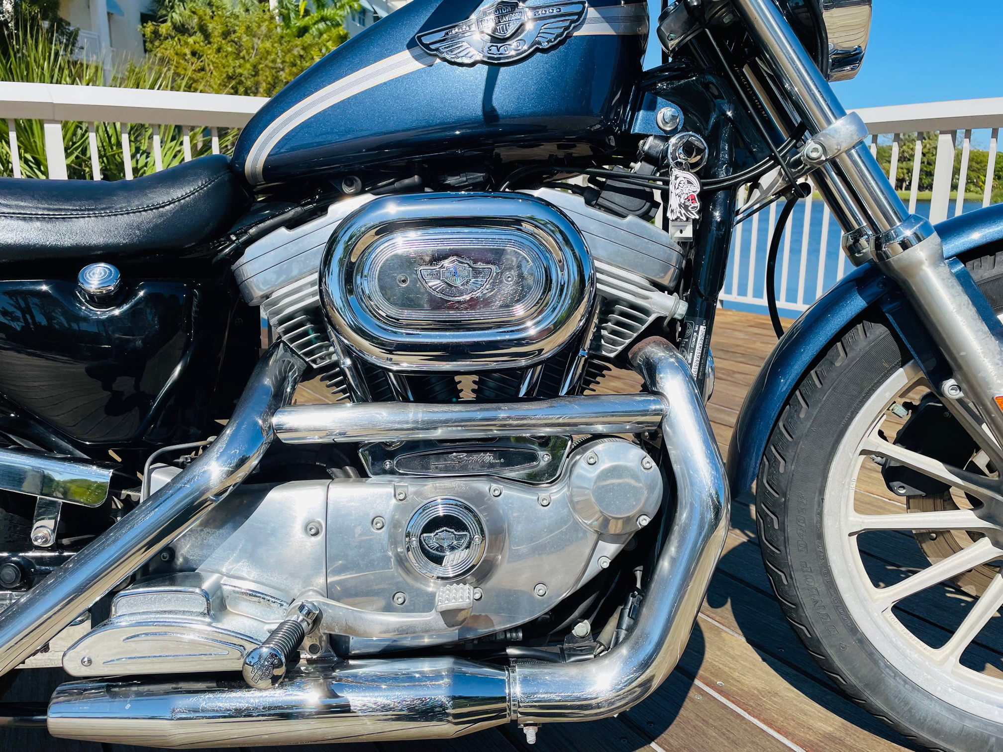 2003 Harley-Davidson® XL 883C-ANV Sportster® 883 Custom Anniversary for ...