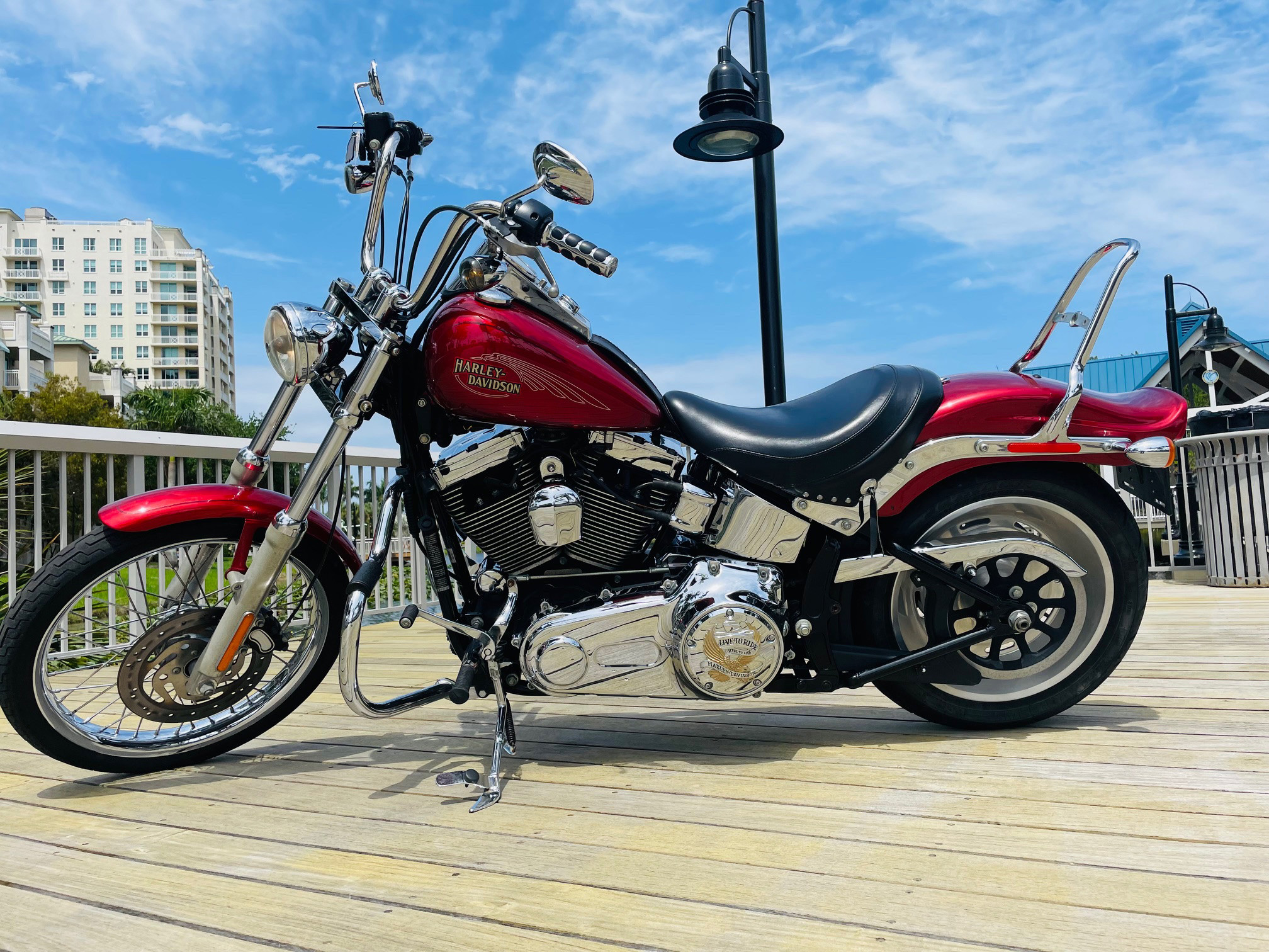 2008 Harley-Davidson® FXSTC Softail® Custom for Sale in Boynton Beach ...