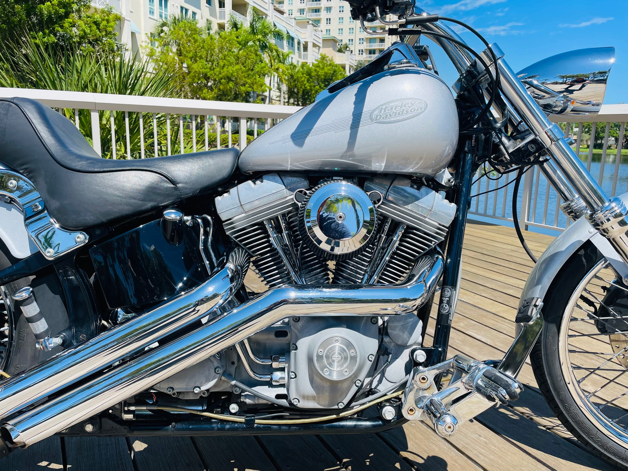 2001 Harley-Davidson® FXSTC Softail® Custom for Sale in Boynton Beach ...