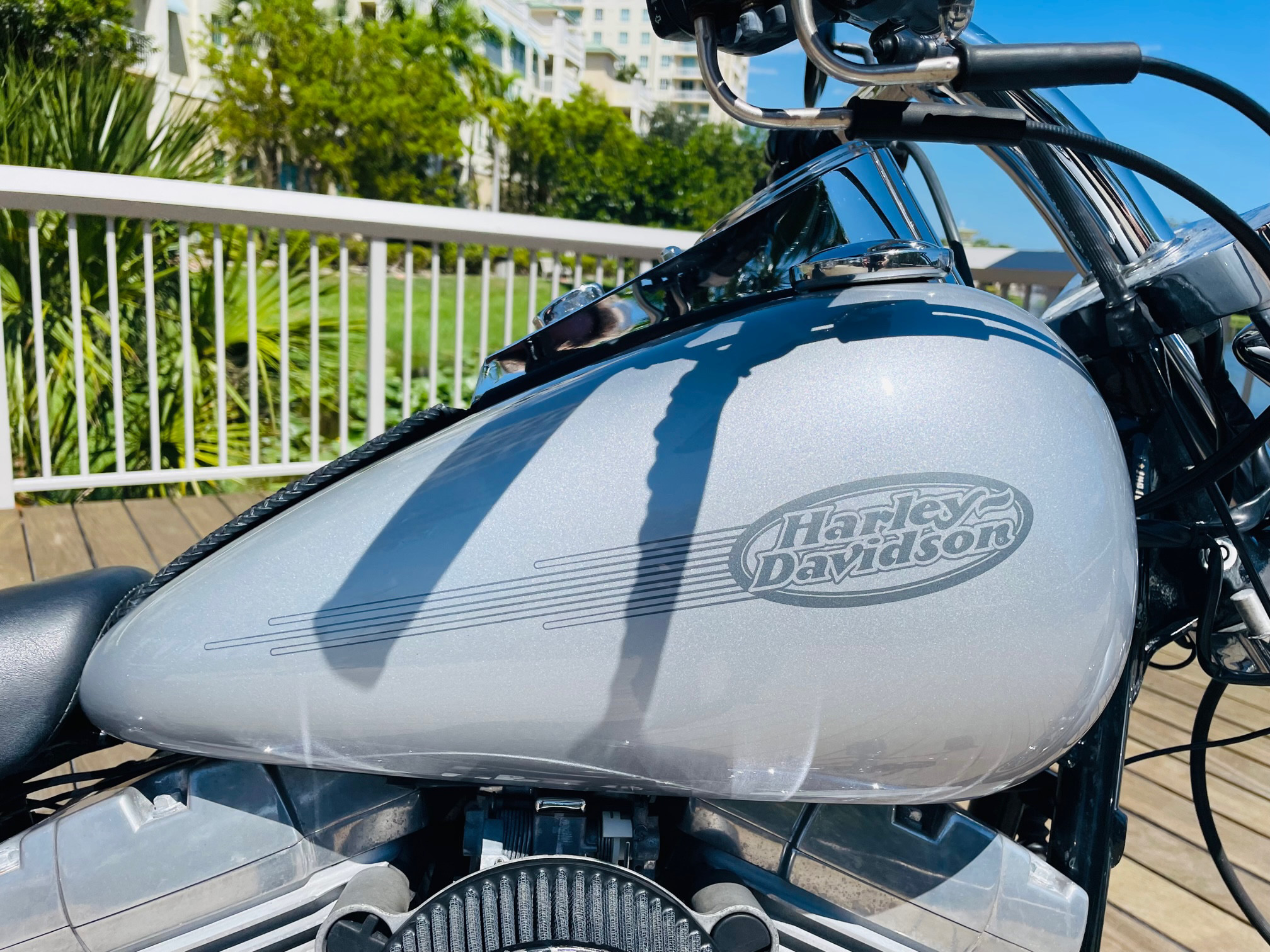 2001 Harley-Davidson® FXSTC Softail® Custom for Sale in Boynton Beach ...