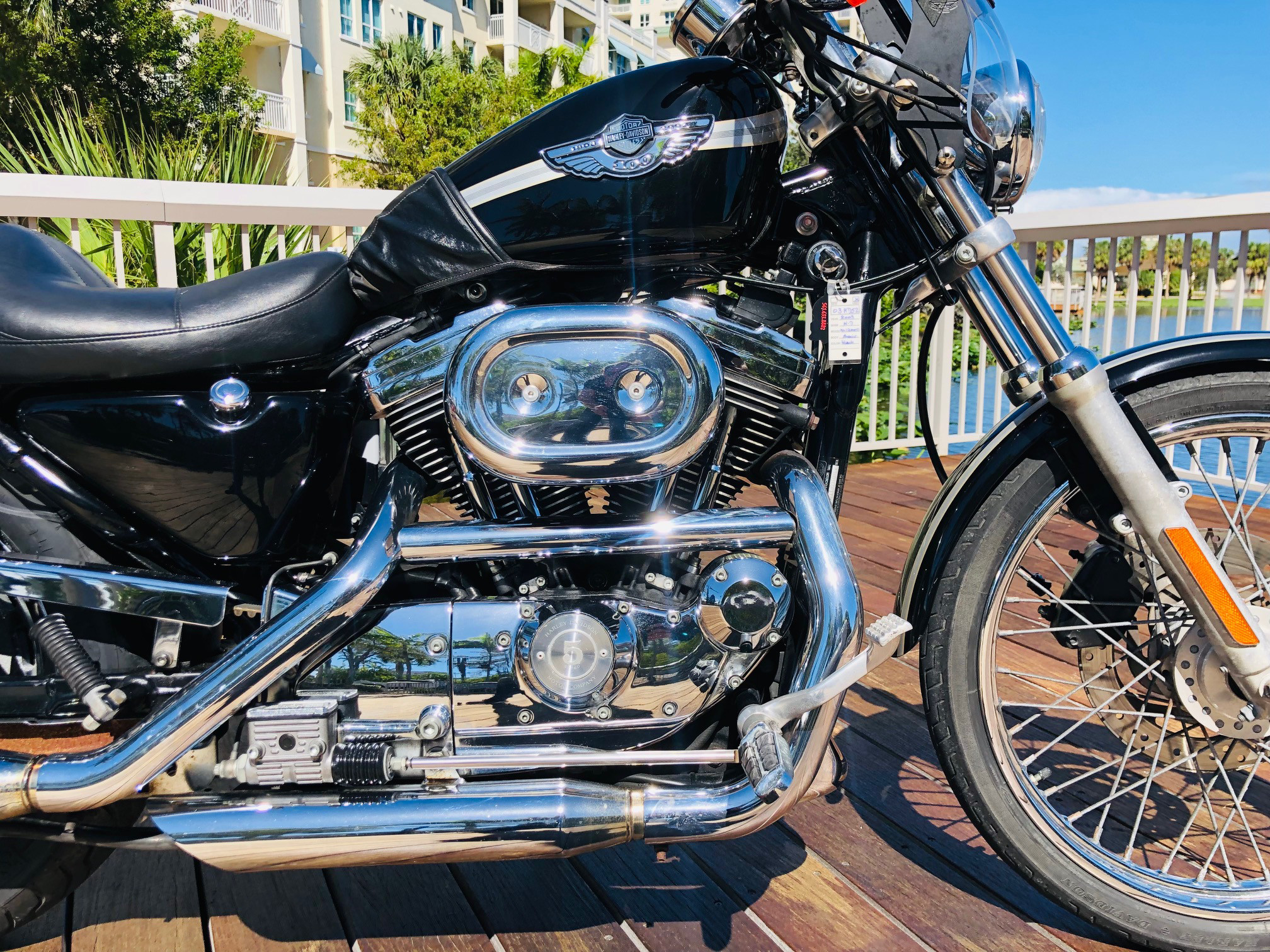 2003 Harley-Davidson® XL1200C-ANV Sportster® 1200 Custom Anniversary ...