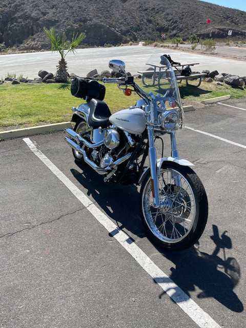 2005 Harley-Davidson® FXST Softail® for Sale in Henderson, NV (Item ...