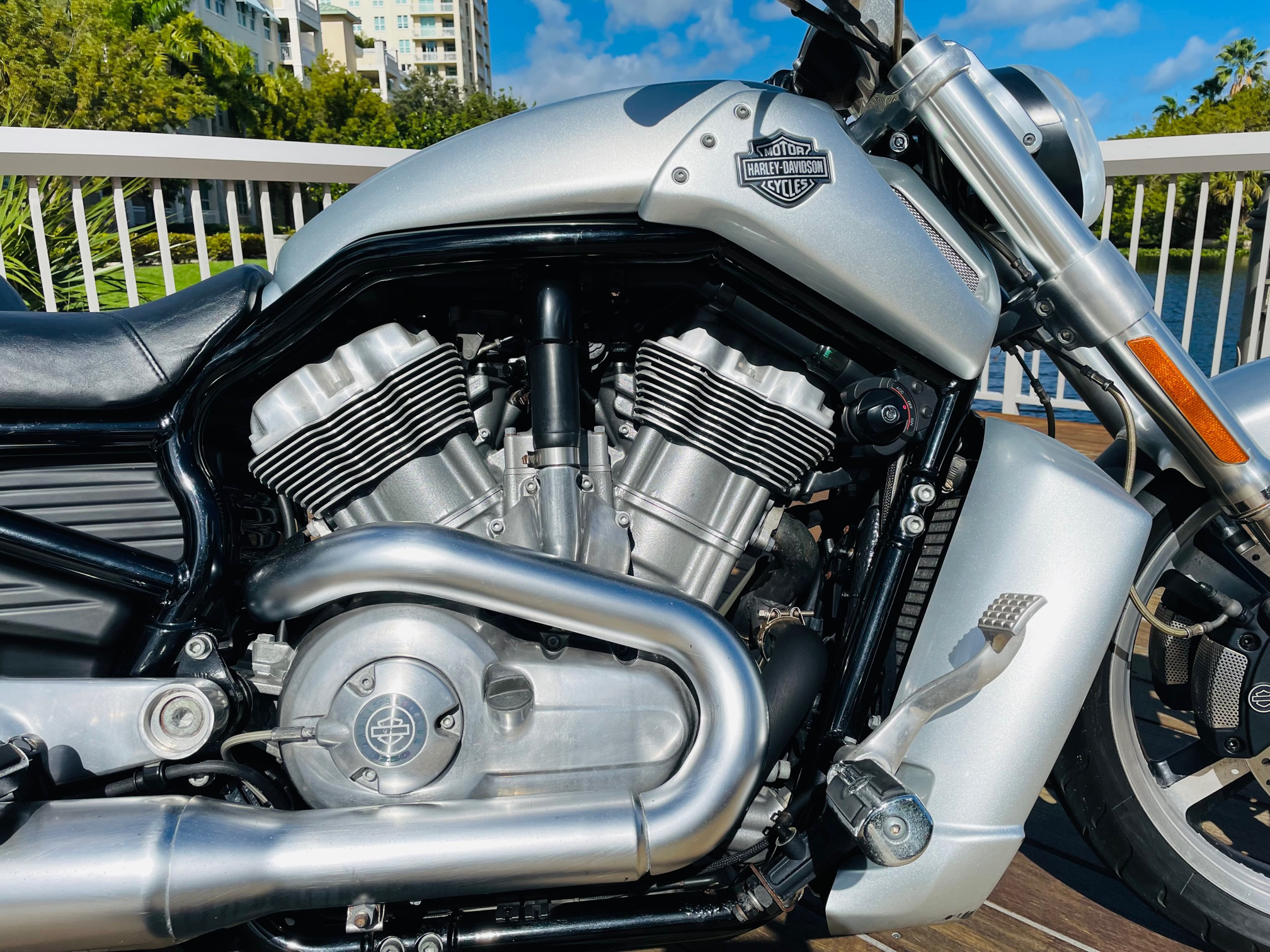 2009 Harley-Davidson® VRSCF V-Rod® Muscle® for Sale in Boynton Beach ...