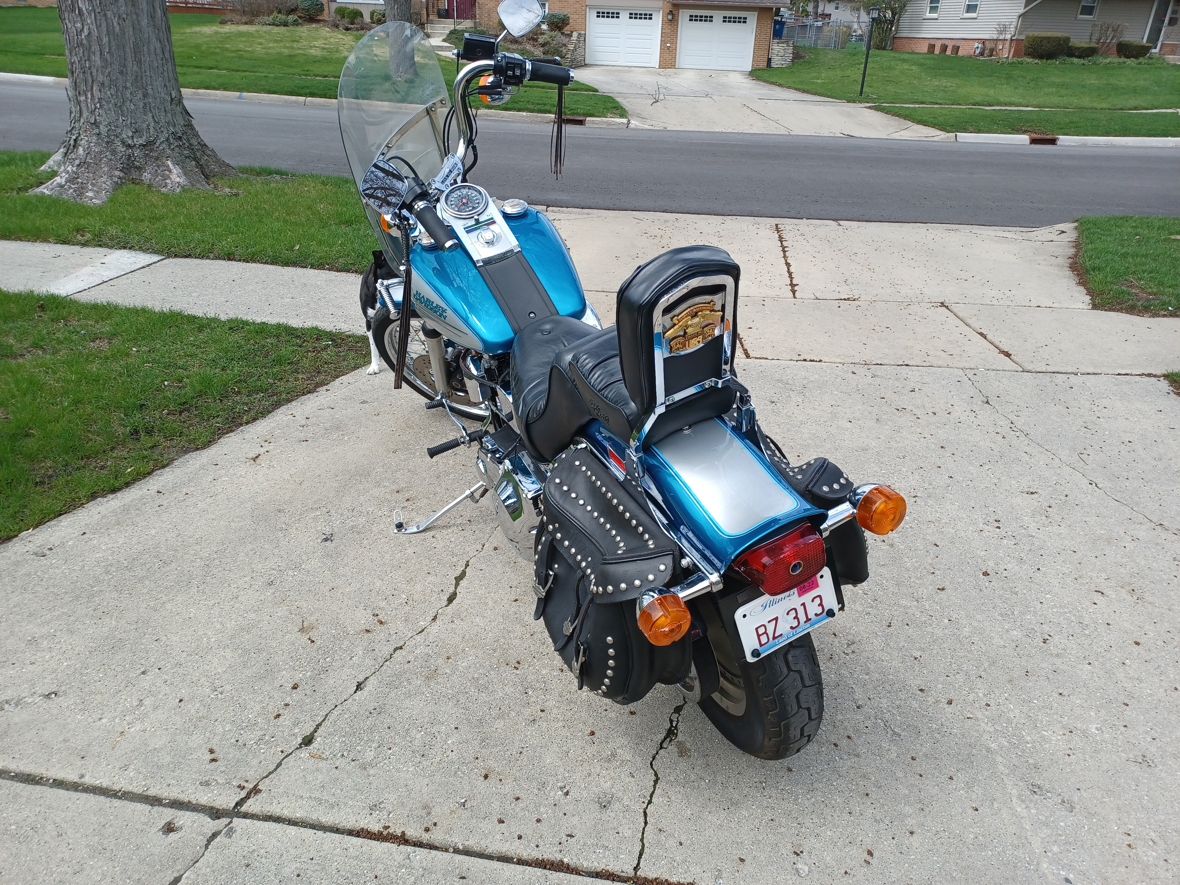 1994 Harley-Davidson® FXSTC Softail® Custom for Sale in Downers Grove ...