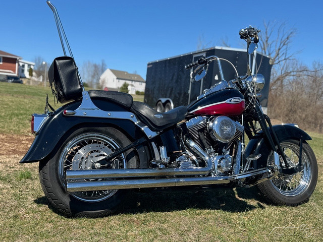 2005 Harley-Davidson® FLSTSC/I Softail® Springer® Classic for Sale in ...