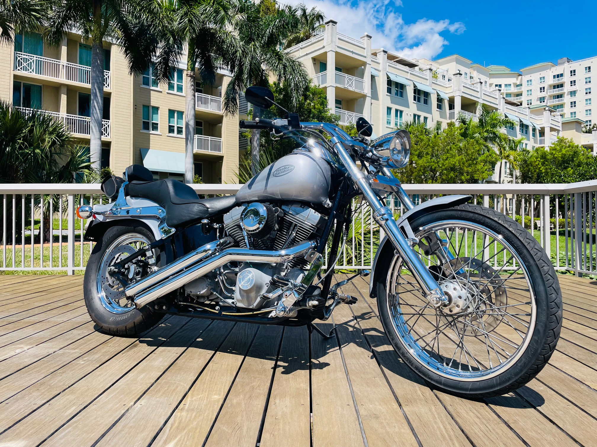 2001 Harley-Davidson® FXSTC Softail® Custom for Sale in Boynton Beach ...
