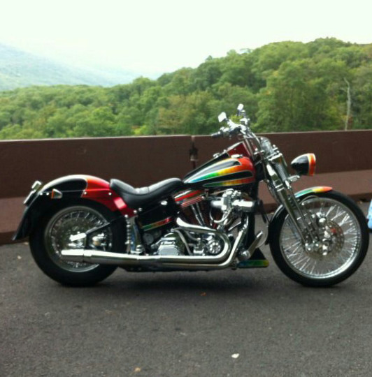 1990 Harley-Davidson® FXSTS Springer® Softail for Sale in Prosper, TX ...