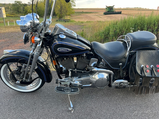 1998 Harley-Davidson® FXSTS Springer® Softail® for Sale in Zieglerville ...
