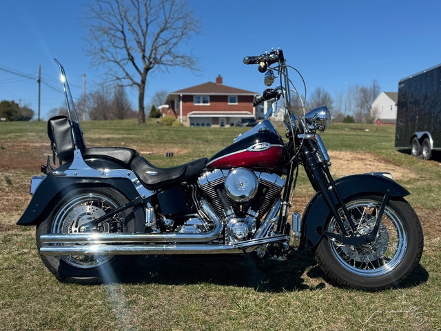 2005 Harley-Davidson® FLSTSC/I Softail® Springer® Classic for Sale in ...