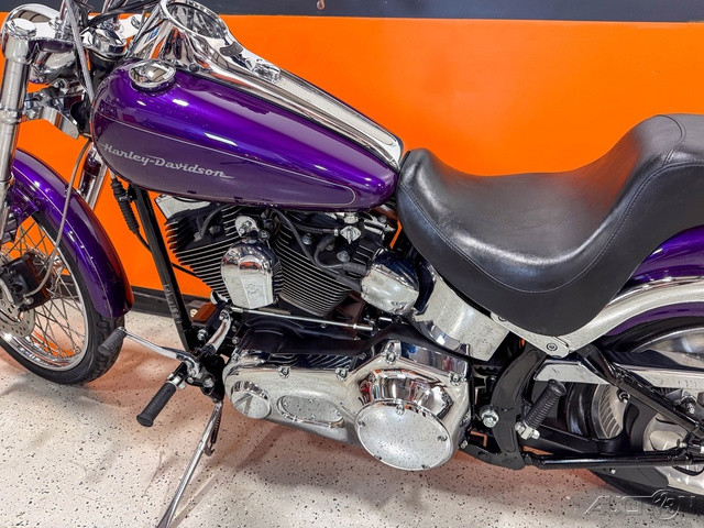 2002 Harley-Davidson® FXSTD/I Softail® Deuce® for Sale in Zieglerville ...