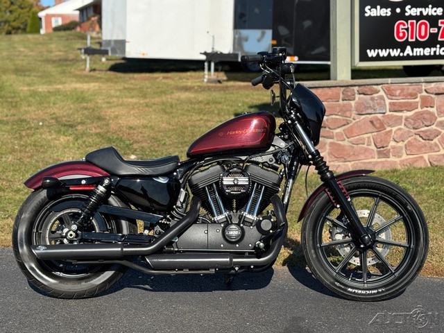 2019 Harley-Davidson® XL1200NS Iron 1200® for Sale in Zieglerville, PA ...