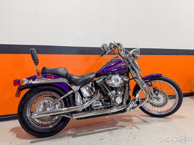 2000 Harley-Davidson® FXSTS Softail® Springer® for Sale in Zieglerville ...