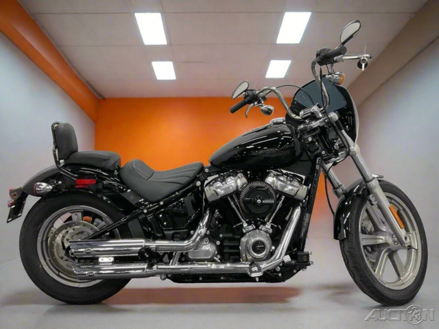 2022 Harley-Davidson® FXST Softail® Standard for Sale in Zieglerville ...